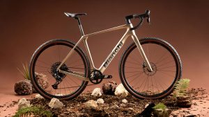 Bianchi Arcadex | Bianchi