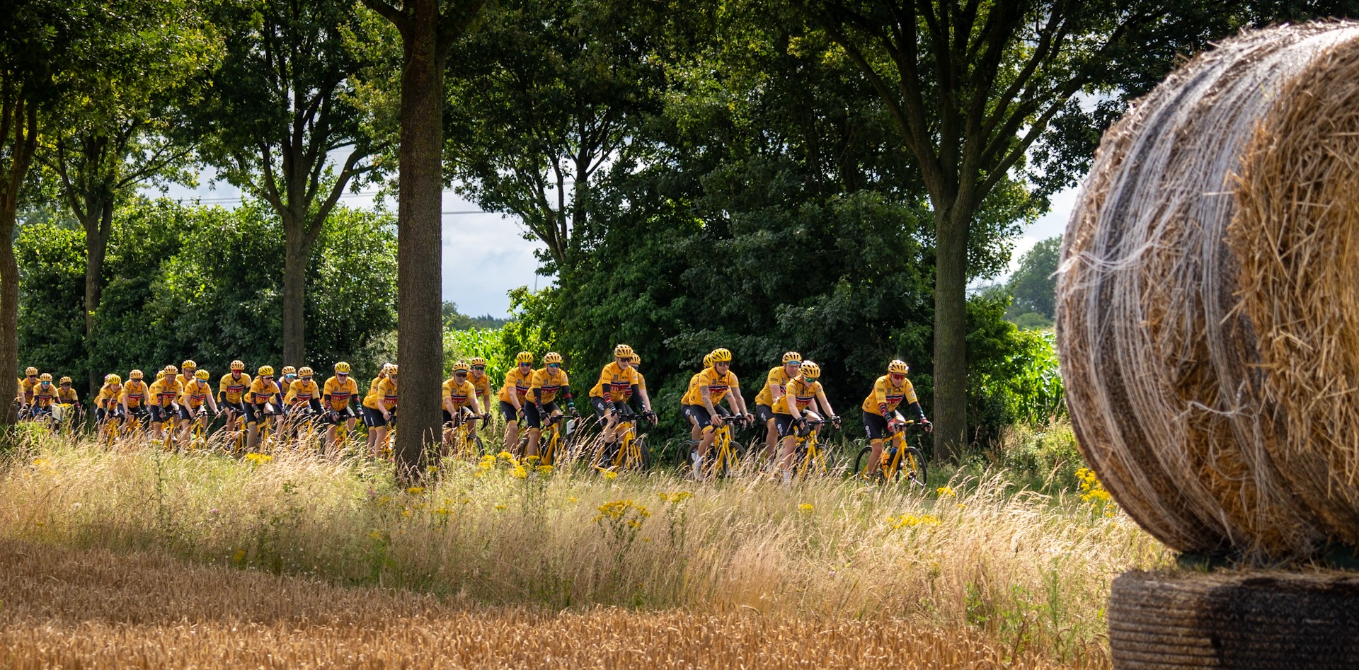 Bianchi x Team Rynkeby | Bianchi