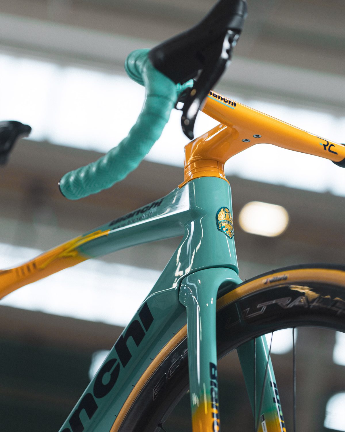 Specialissima RC Pantani – Limited Edition | Bianchi