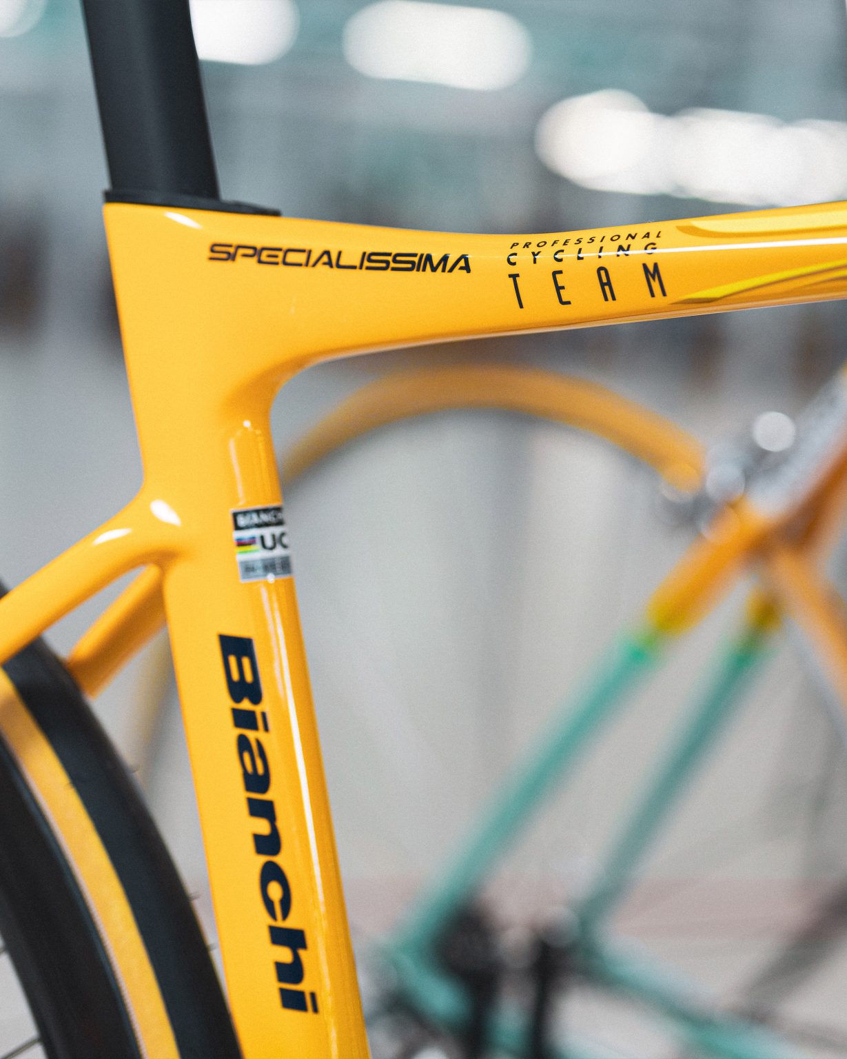 Specialissima RC Pantani – Limited Edition | Bianchi